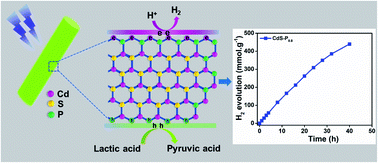 Synthesis of P-doped CdS nanorods for efficient blue LED light induced ...