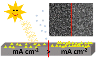 Seed layer formation determines photocurrent response of hydrothermally ...