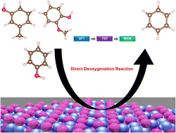 Direct deoxygenation reaction of oxygenated model compounds by biomass ...