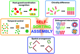 Self-sorting assembly of artificial building blocks - Soft Matter (RSC ...