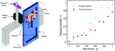 Soft particles facilitate flow of rigid particles in a 2D hopper - Soft ...