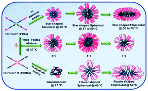 Micellar assembly leading to structural growth/transition in normal and ...