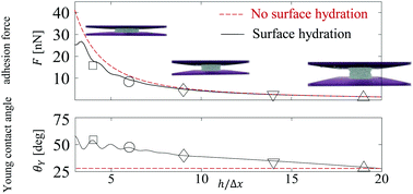 The effects of surface hydration on capillary adhesion under nanoscale ...