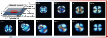 The fate of liquid crystal topological defects on chemically patterned ...