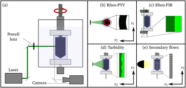 Kinetics of shear banding flow formation in linear and branched ...