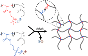 Highly stretchable ionically crosslinked acrylate elastomers inspired ...