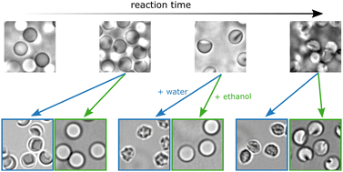 Dynamically shaping the surface of silica colloids - Soft Matter (RSC ...