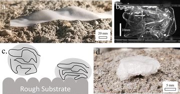 Roughness tolerant pressure sensitive adhesives made of sticky crumpled ...