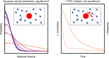 Passive probe particle in an active bath: can we tell it is out of ...