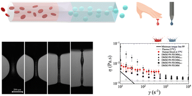 A particulate blood analogue based on artificial viscoelastic blood ...
