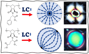 Liquid crystal droplet design by using pseudopeptidic bottlebrush ...