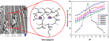 Newly designed acrylamide derivative-based pH-responsive hydrogel ...