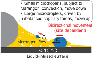 Marangoni-induced reversal of meniscus-climbing microdroplets - Soft ...
