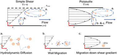 Application of droplet migration scaling behavior to microchannel flow ...