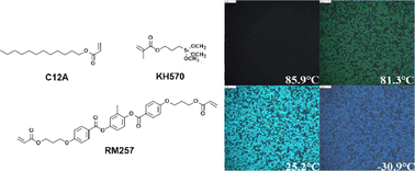 Low-voltage and fast-response polymer-stabilized blue-phase liquid ...