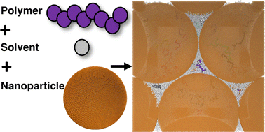 Polymer solution structure and dynamics within pores of hexagonally ...
