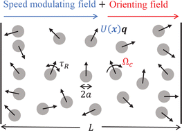 Confined active matter in external fields - Soft Matter (RSC Publishing)