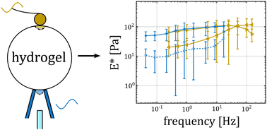 Dynamic mechanical analysis of suspended soft bodies via hydraulic ...