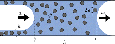 Particulate suspension coating of capillary tubes - Soft Matter (RSC ...
