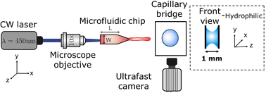Cavity dynamics after the injection of a microfluidic jet onto ...