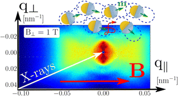 Dynamics of magnetic Janus colloids studied by ultra small-angle X-ray ...