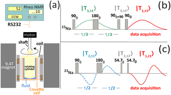 A molecular–mechanical link in shear-induced self-assembly of a ...