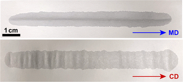 Transient deformation and swelling of paper by aqueous co-solvent ...