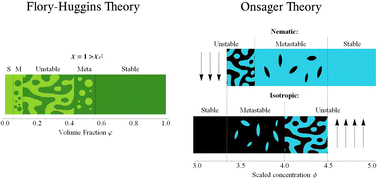LLPS vs. LLCPS: analogies and differences - Soft Matter (RSC Publishing)