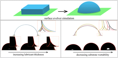Numerical and experimental investigation of static wetting morphologies ...