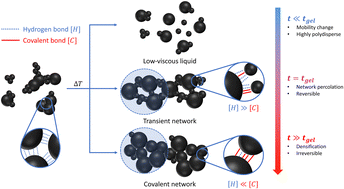 Network Covalent Bond What Is The Difference Between A Covalent Bond