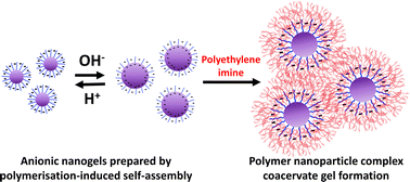 Preparation of polymer nanoparticle-based complex coacervate hydrogels ...