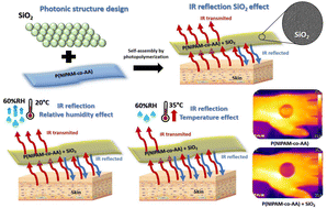 Environmentally responsive hydrogel composites for dynamic body ...