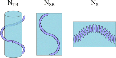 Theoretical models of modulated nematic phases - Soft Matter (RSC ...