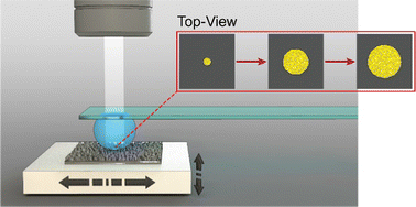 Through-drop imaging of moving contact lines and contact areas on ...