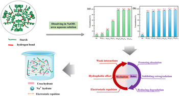The role of urea on the dissolution of starch in NaOH–urea aqueous ...