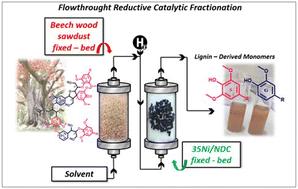 Flow-through reductive catalytic fractionation of beech wood sawdust - RSC Sustainability (RSC ...