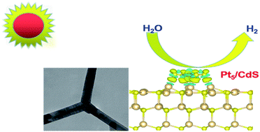 Confining single Pt atoms from Pt clusters on multi-armed CdS for ...