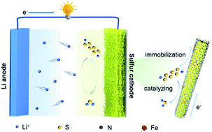 Self-standing sulfur cathodes enabled by a single Fe site decorated ...