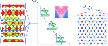 Type-II Weyl fermion induced hydrogen adsorption in a two-dimensional ...