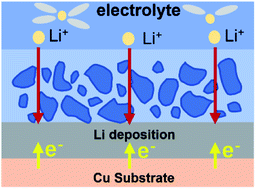 A lithiophilic AlN-modified copper layer for high-performance lithium ...