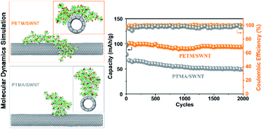Developing a three-dimensional co-continuous phase network structure ...