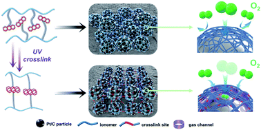 UV-crosslinkable anthracene-based ionomer derived gas “Expressway” for ...