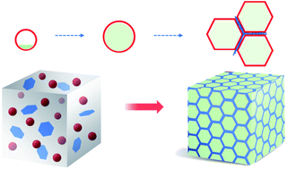 Expansion force induced in situ formation of a 3D boron nitride network ...