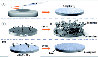 A stable fluoride-based interphase for a long cycle Zn metal anode in ...
