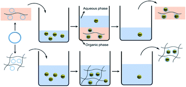 Anion extractants constructed by macrocycle-based anion recognition ...