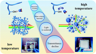 Mechanism and regulation of LCST behavior in poly(hydroxypropyl ...