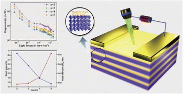 Enhancing two-dimensional perovskite photodetector performance through ...