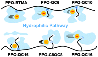 Understanding ion diffusion in anion exchange membranes; effects of ...