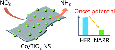 The selective electrocatalytic reduction of nitrate to ammonia using Co ...