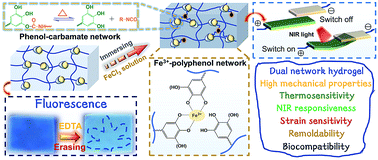 Multifunctional polyurethane hydrogel based on a phenol–carbamate ...